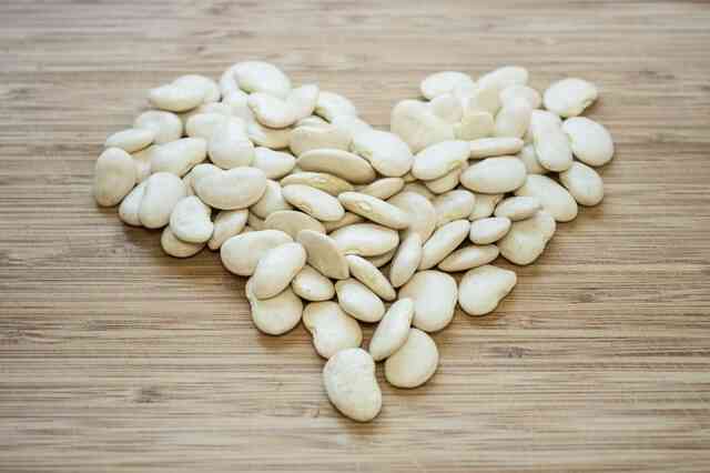 Gewusst wie: ein Limabohne in einer Tasche zu wachsen