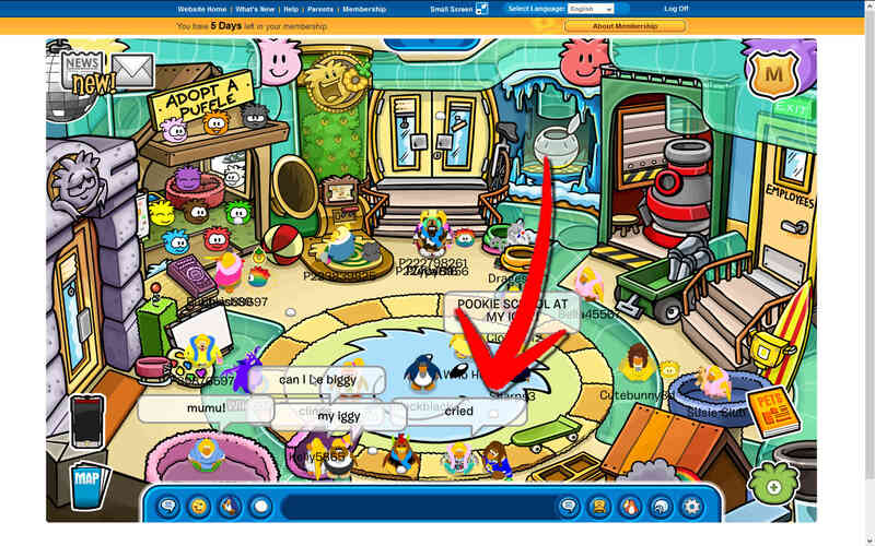 Gewusst wie: eine Tierhandlung Arbeitskraft bei Club Penguin
